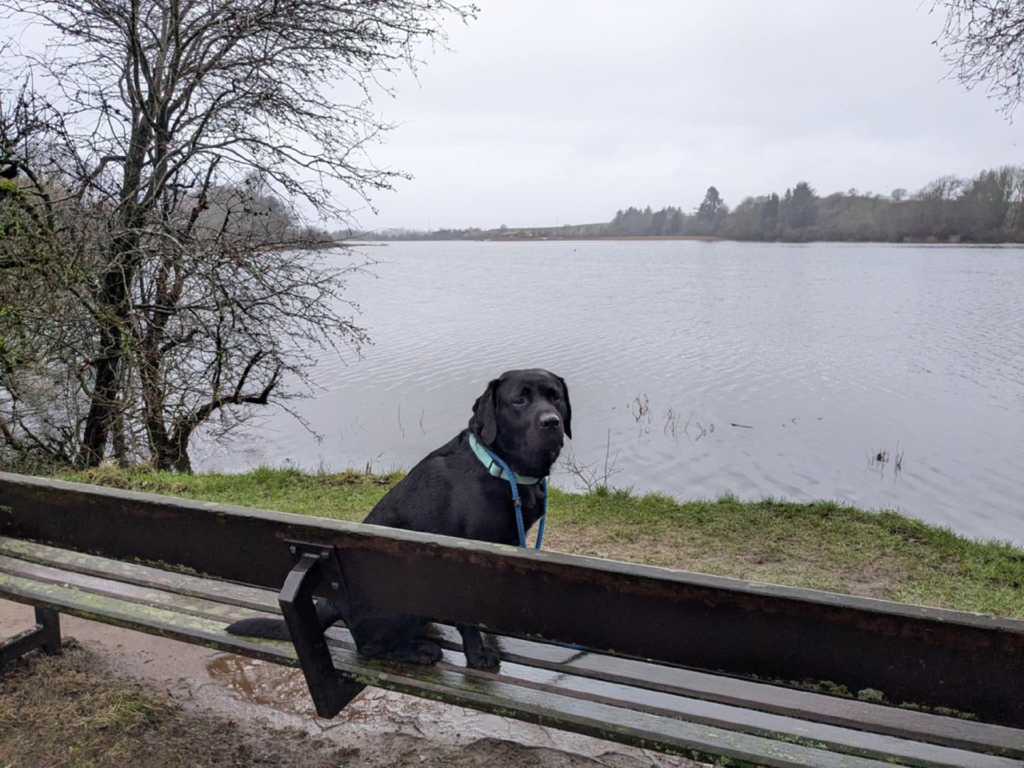 What dark discovery did I make while exploring Forfar Loch?