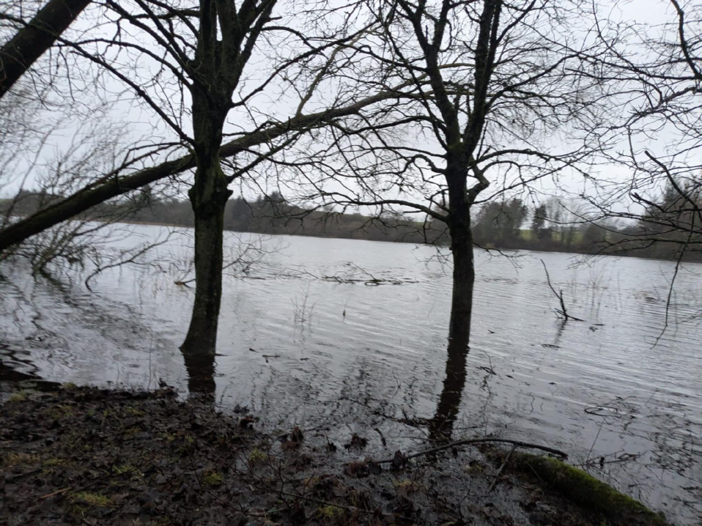 What dark discovery did I make while exploring Forfar Loch?