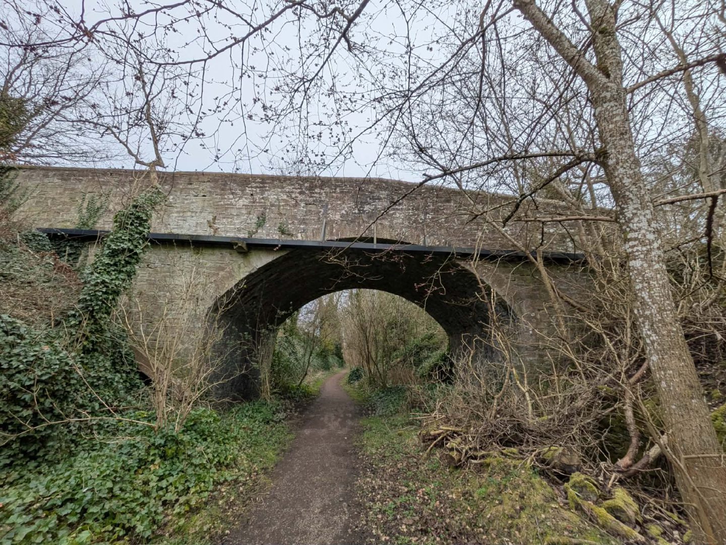 Tracing lost railway to wildlife hidden at Balgavies Loch near Forfar
