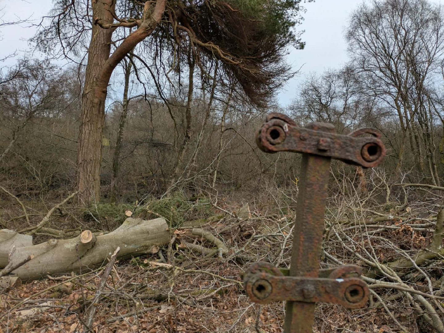 Tracing lost railway to wildlife hidden at Balgavies Loch near Forfar