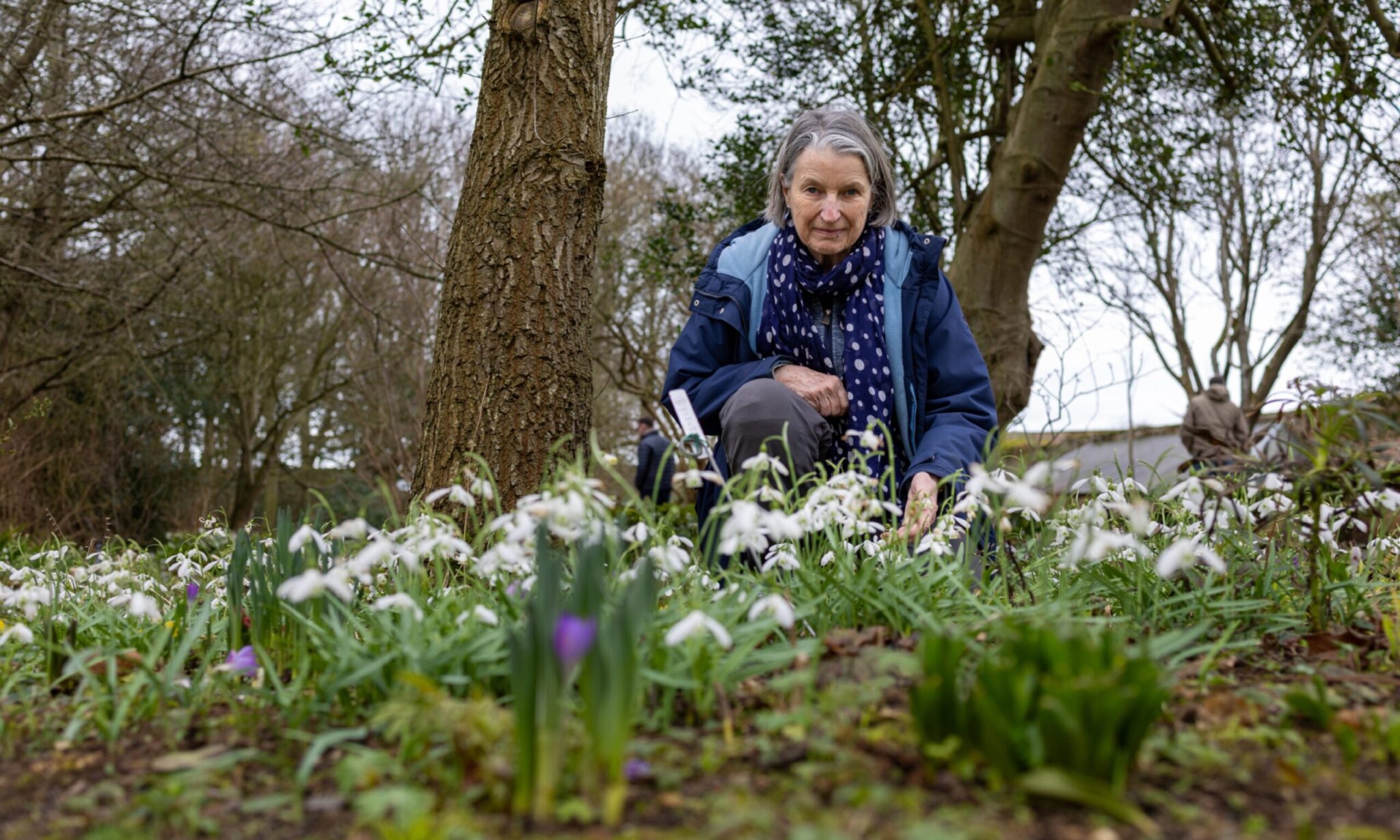 Winter gloom hits Cambo visitors - but snowdrops still enchant