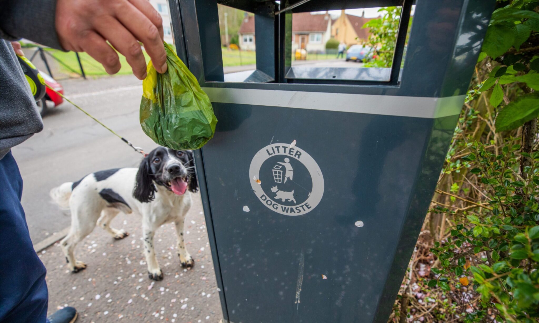Will £20,000 Angus dog fouling fighting fund help educate owners?