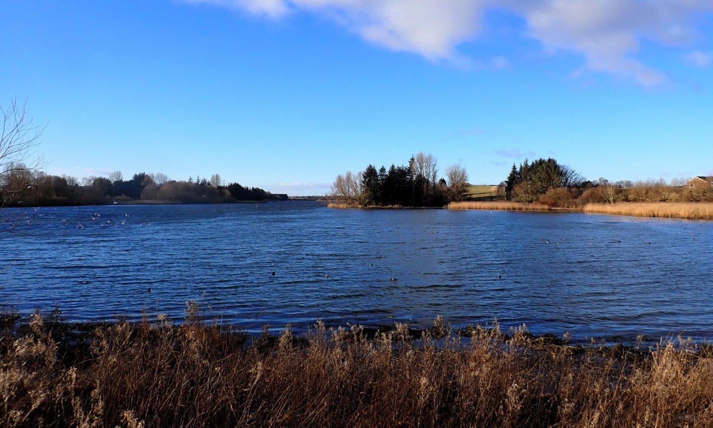 Forfar Loch: Angus Council issues update on path closures