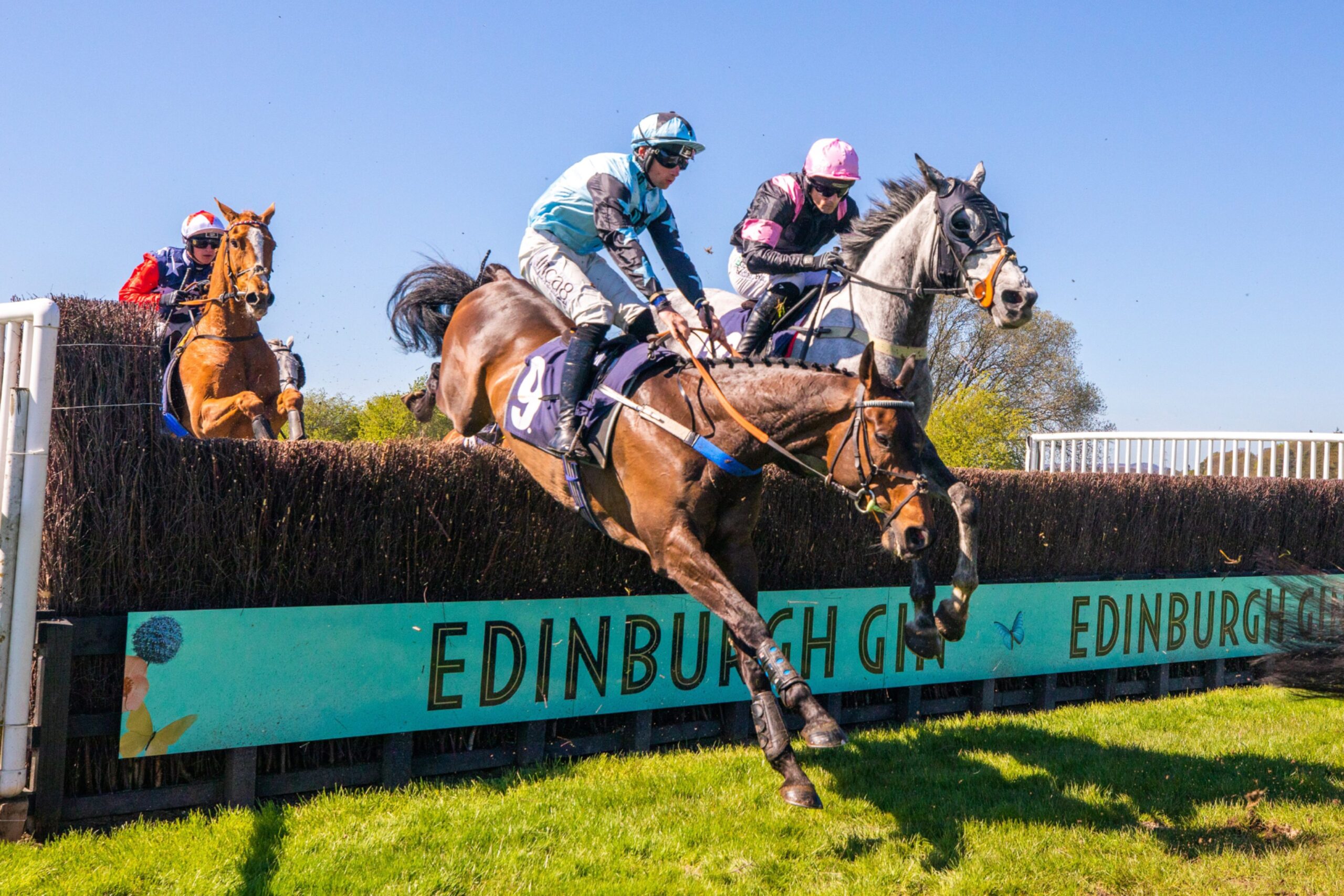 Perth festival finale draws crowds at Perth Race Course