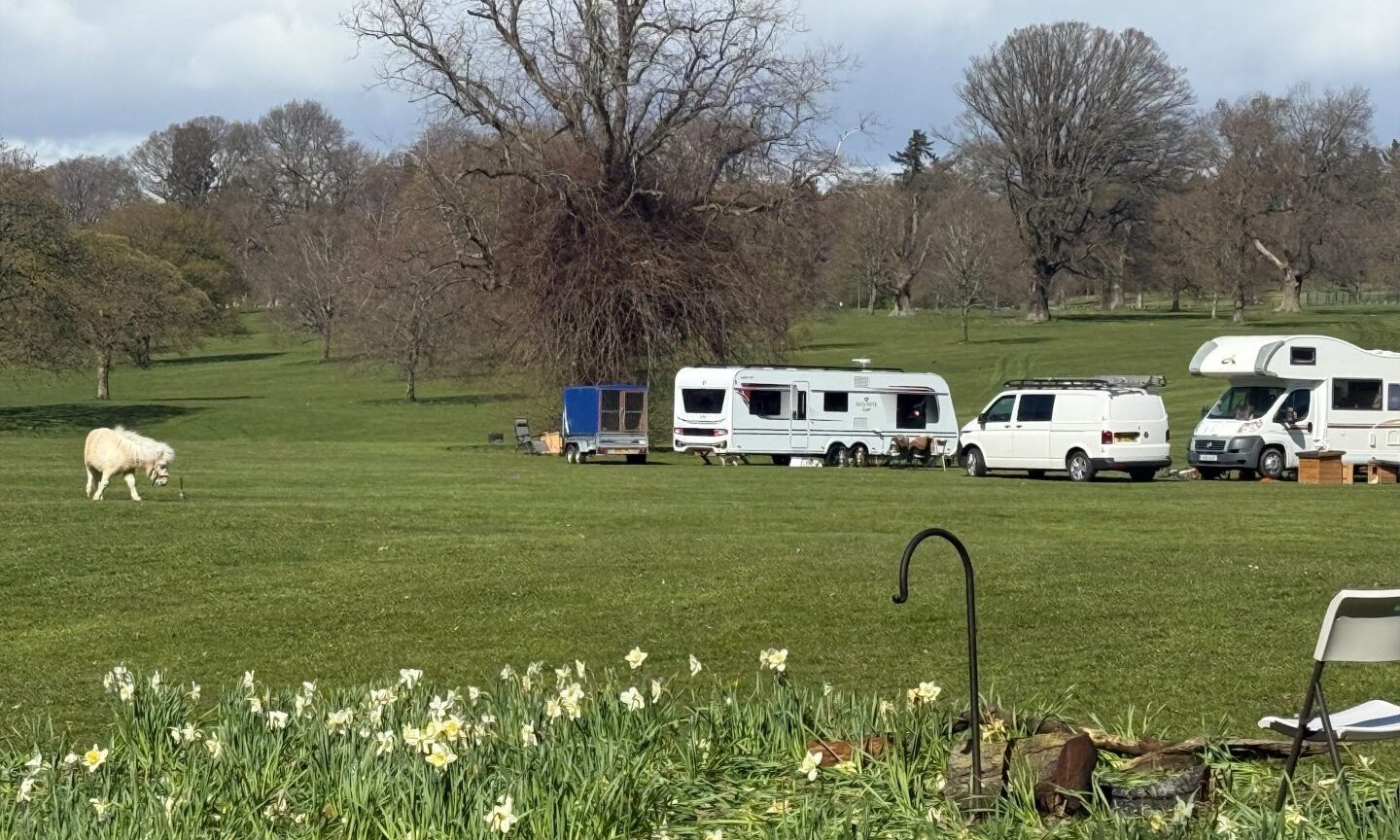 Travellers with dogs and quadbikes at Dundee's Camperdown Park