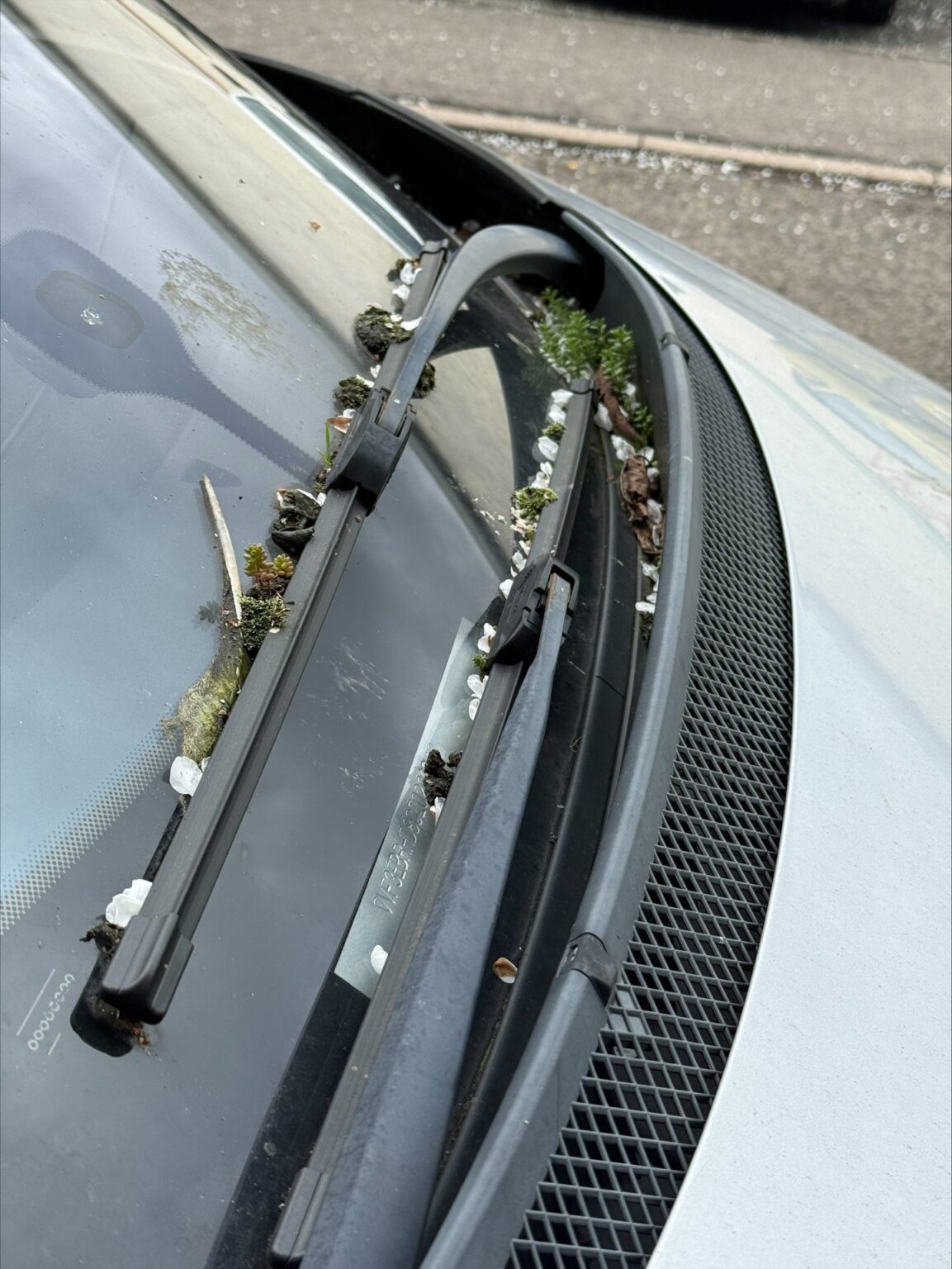 17 unusable cars clog up two neighbouring Dundee streets