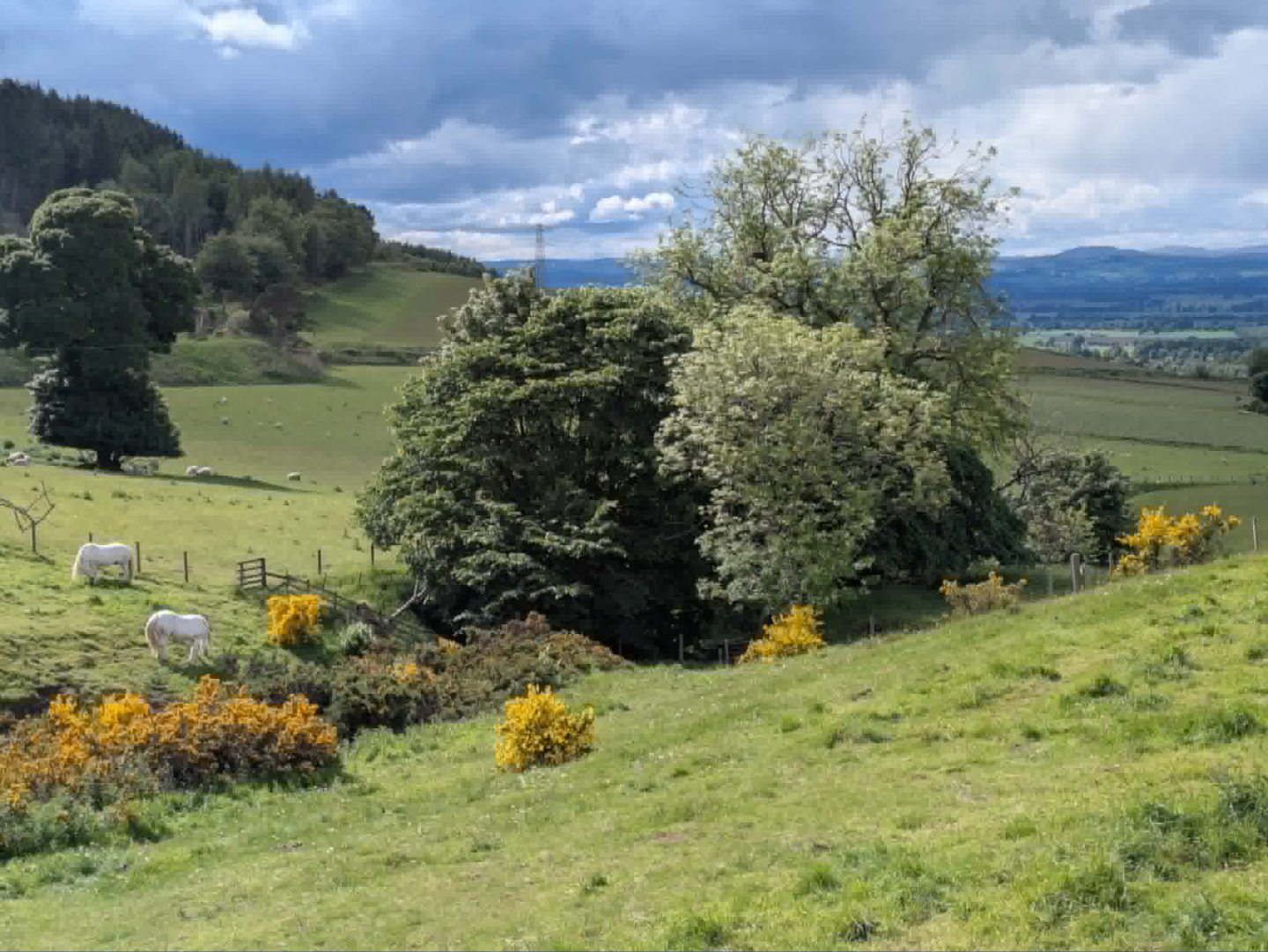 Lundie Craigs: Epic views and the legend of Sir James the Rose