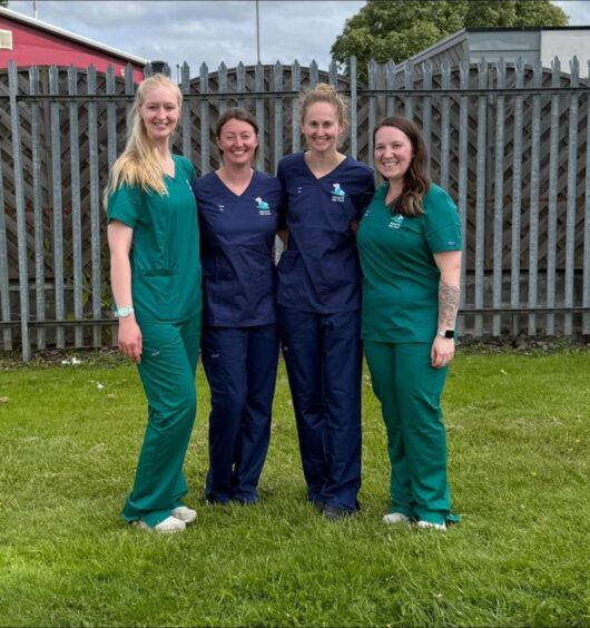 Independent vet practice brings transparent pricing to Perth