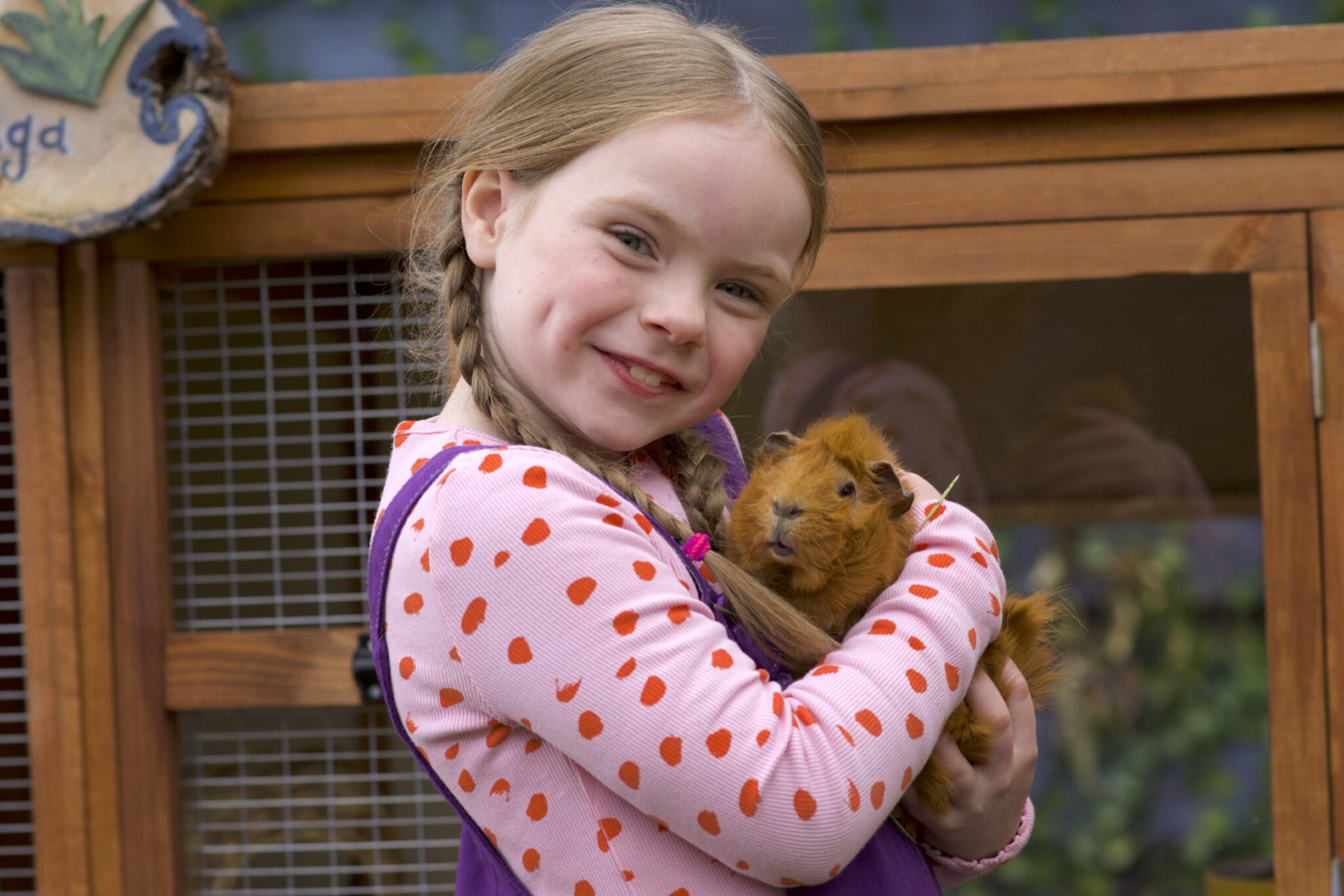 Greg Hemphill and Julie Wilson Nimmo bring Olga Da Polga to TV