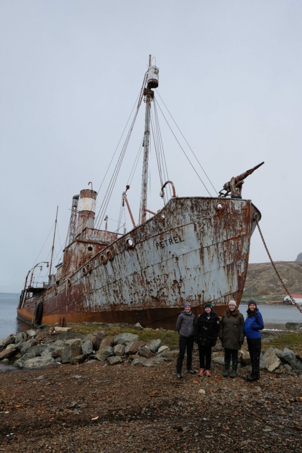 South Georgia on our mind: Intrepid duo on helping reopen an island ...