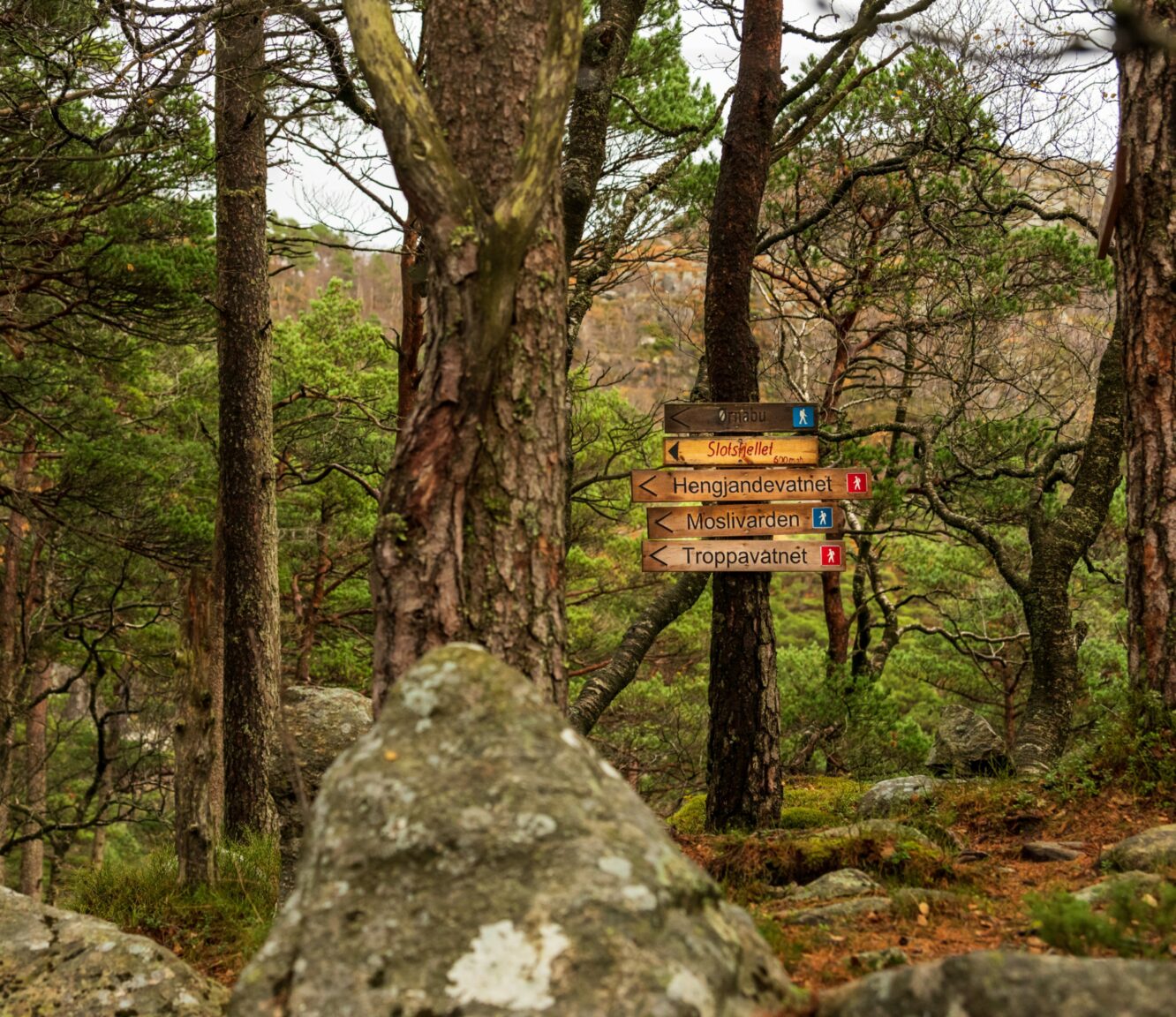 Travel: Norway - Skol! Drinking in the fjords’ striking views