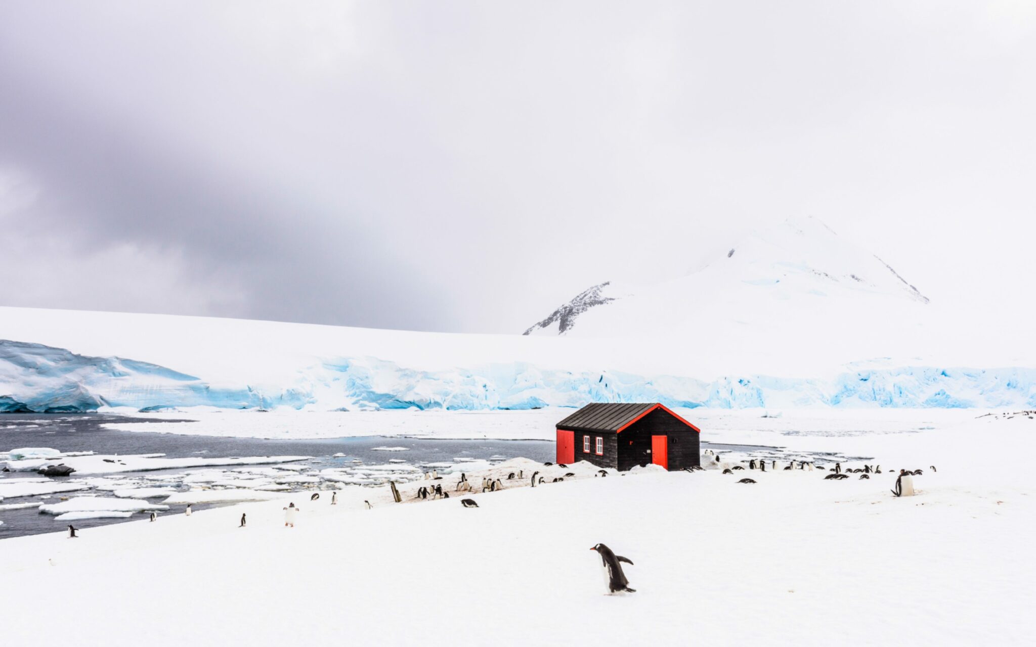 Scottish scientist on bringing in the bells in Antarctica at the ...