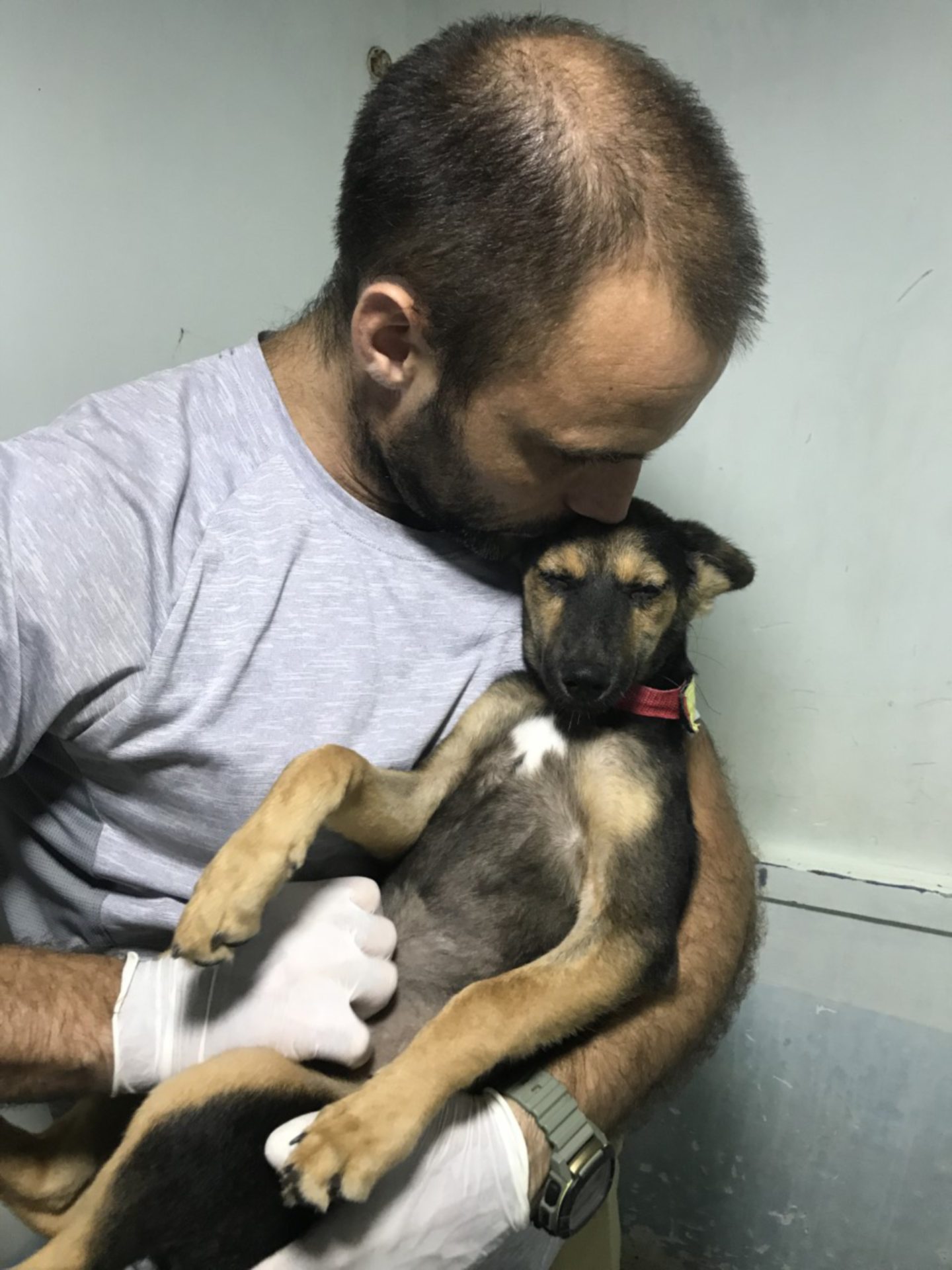 All crises great and small: Vet and author Gareth Steel lays bare ...