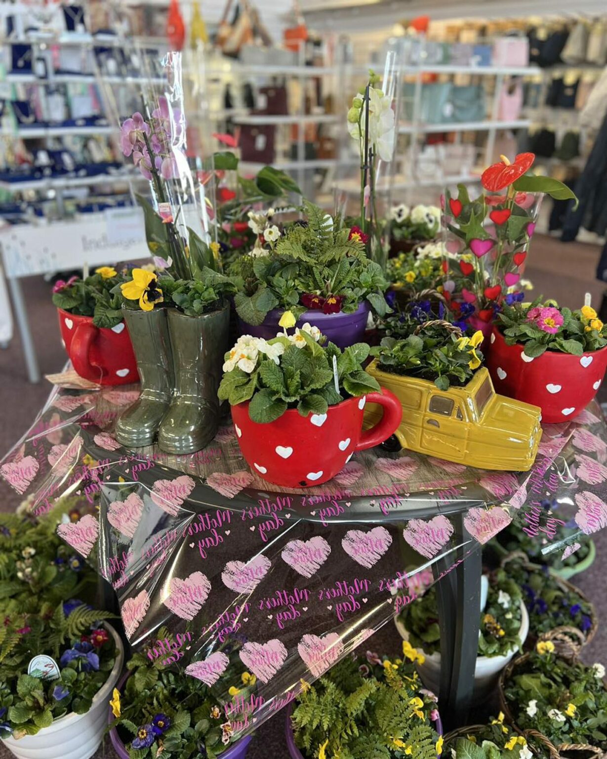 Make your garden one to be proud of: 5 spring garden ideas