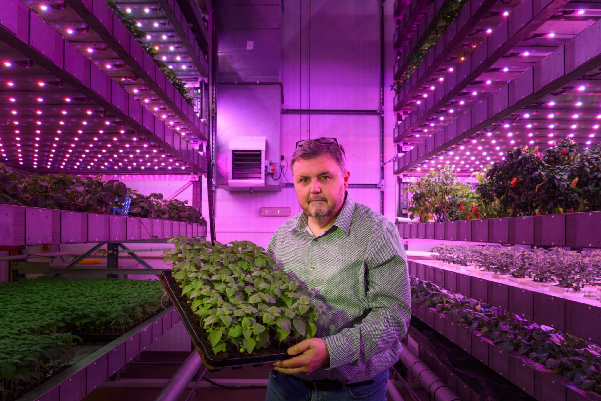 The future of food? Pioneers hail advances in vertical farming