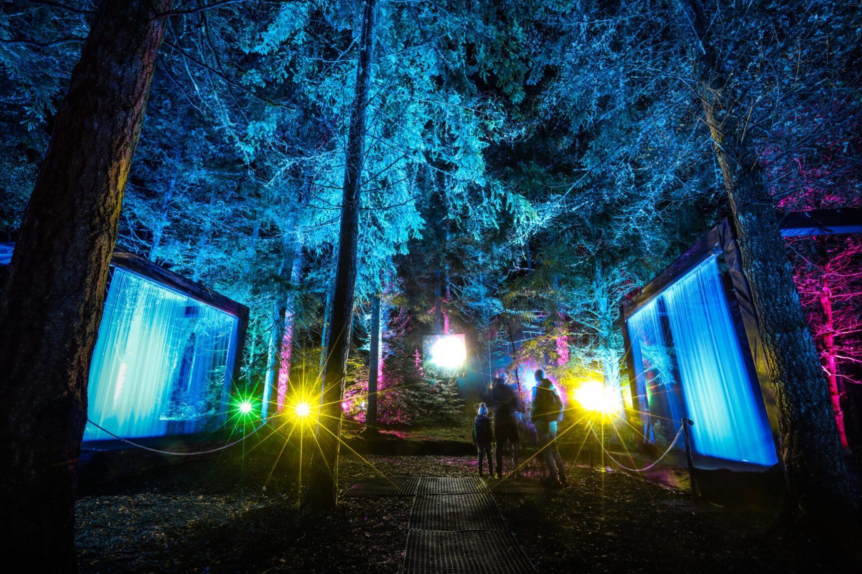 Enchanted Forest: Lights, cameras... it’s all action in Big Tree Country