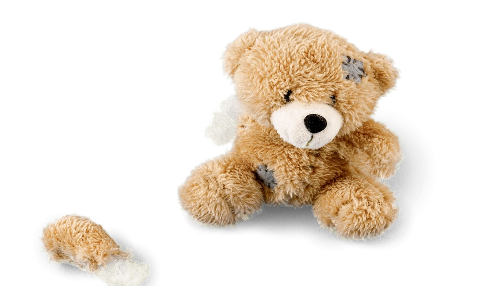 Shocking rise of pet cruelty and killing by children