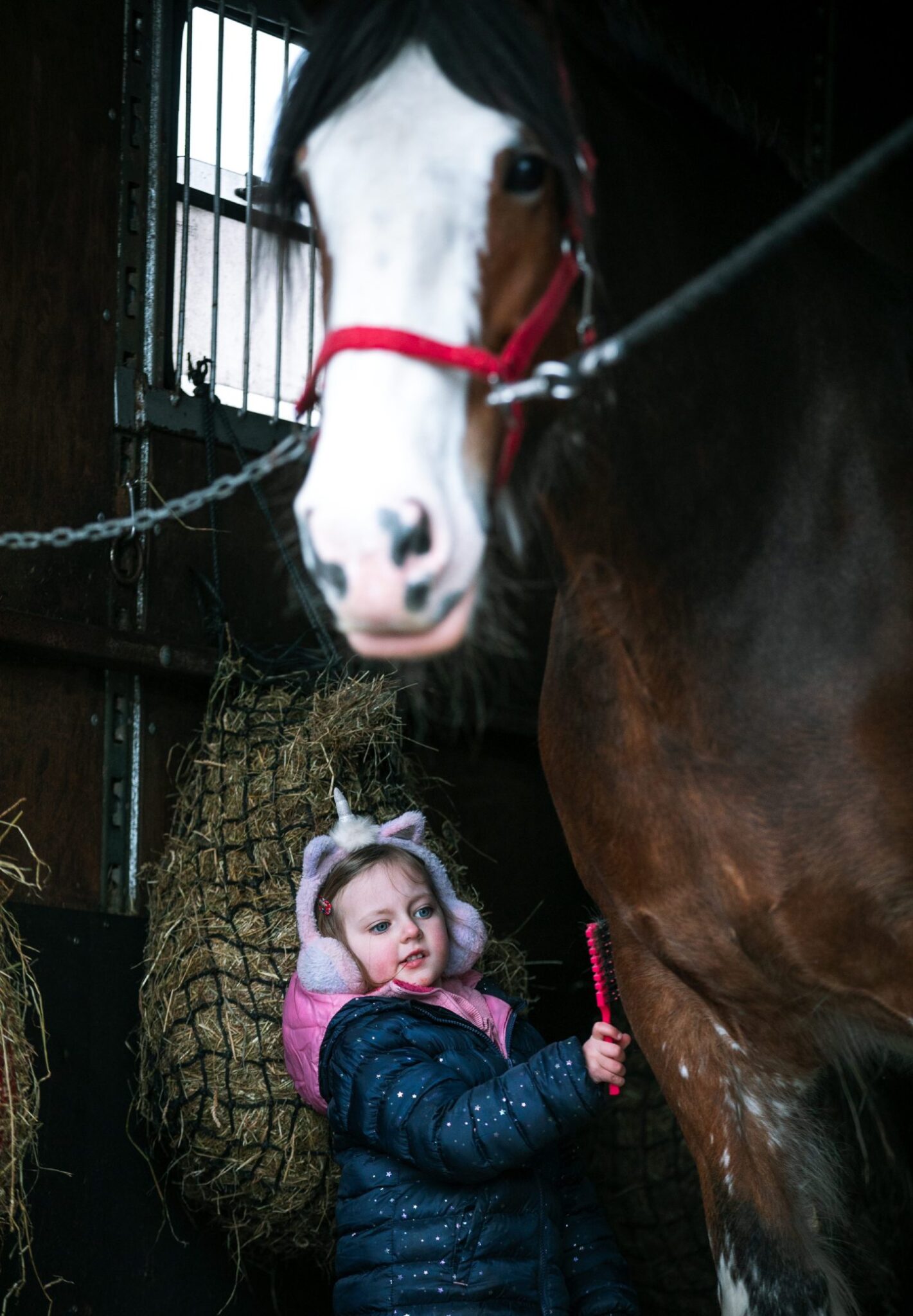 The Kelpies: Sculptor on the 10th anniversary of Falkirk artwork