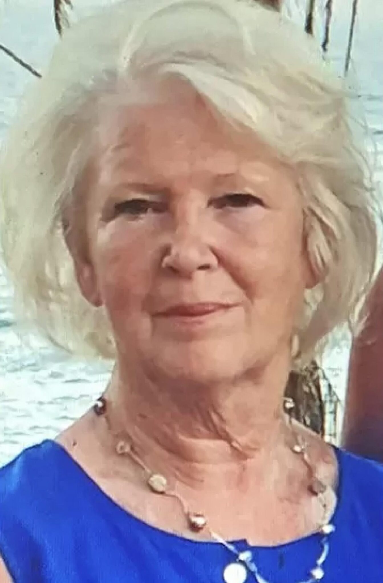 Search for Allan Bryant continues as number of missing people increases