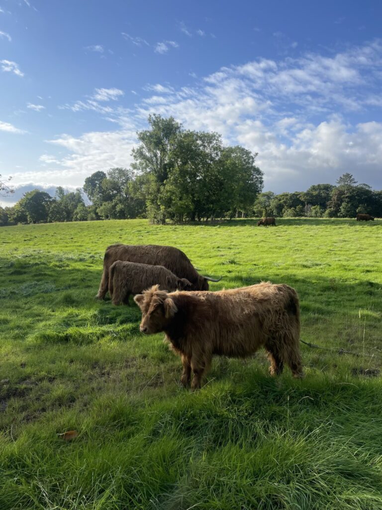 My Scotland: Nostalgic day-trips and the perfect scoop with Grace ...