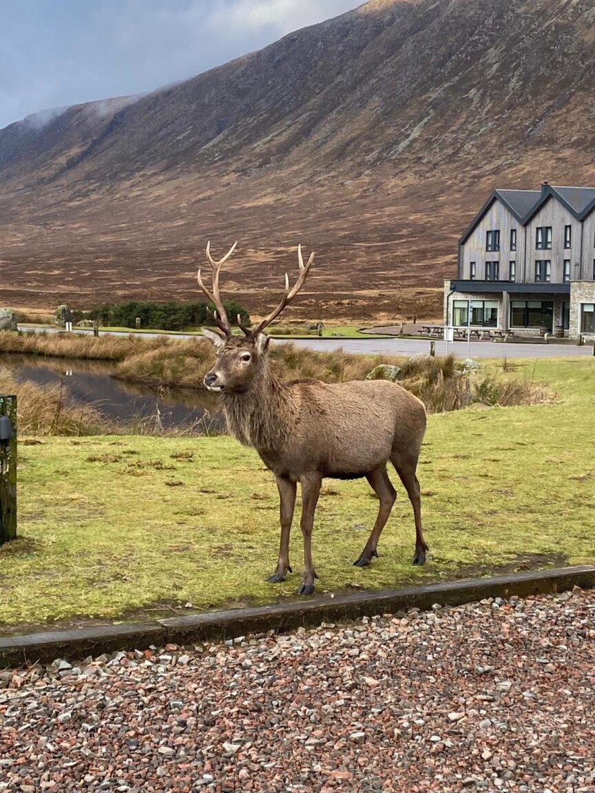My Scotland: Maria Gorrod's favourite stays - The Sunday Post