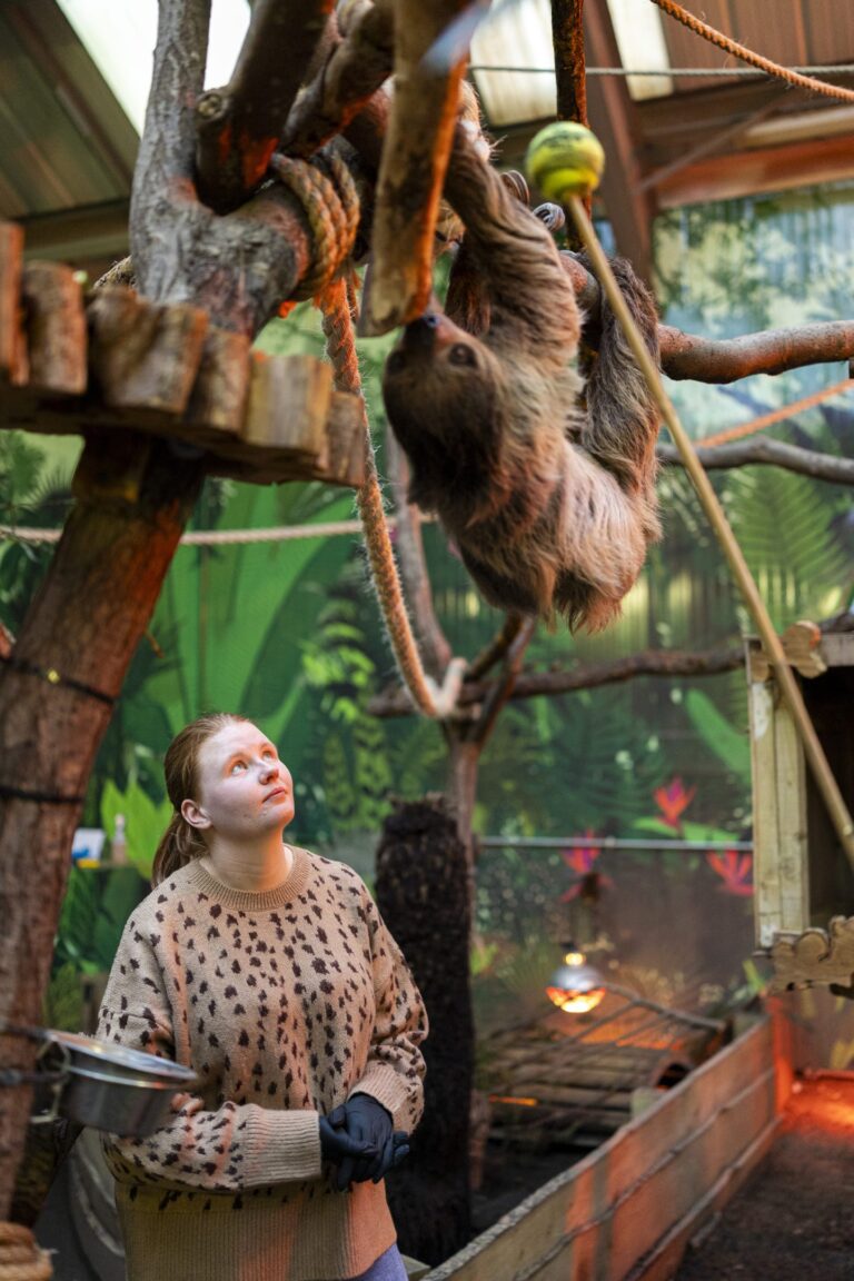 We spent a day feeding animals at Edinburgh Zoo - this is what we learned