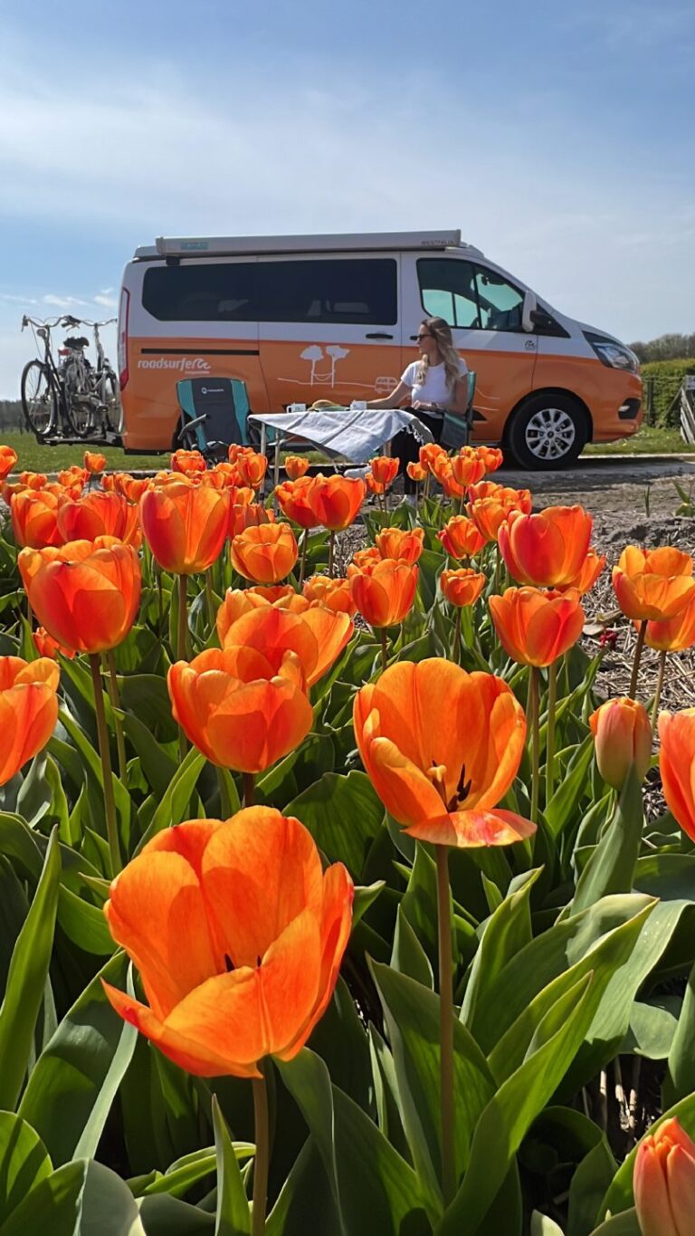 Take road trip to see sights and get close to nature in campervan