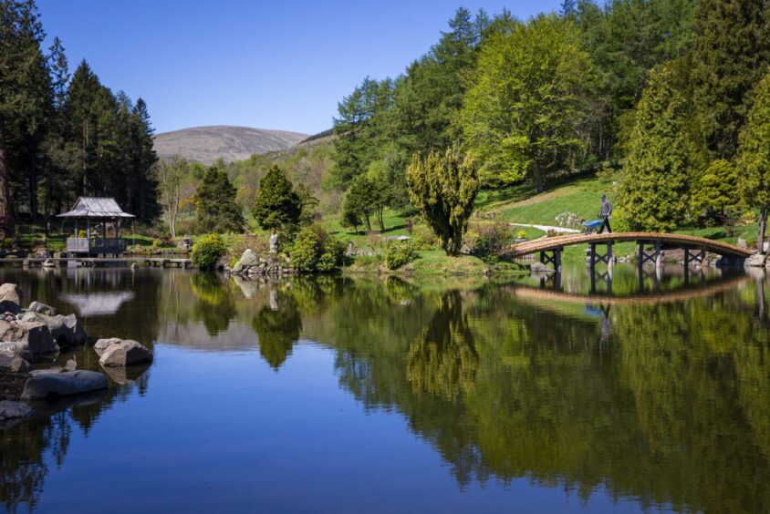 Japanese Garden in Cowden thriving again after restoration