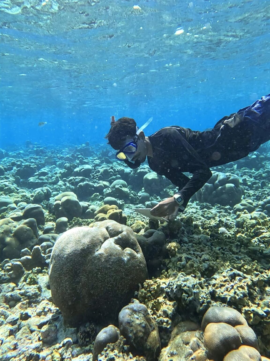 Travel: Good reef! I found my blue heaven in Maldives
