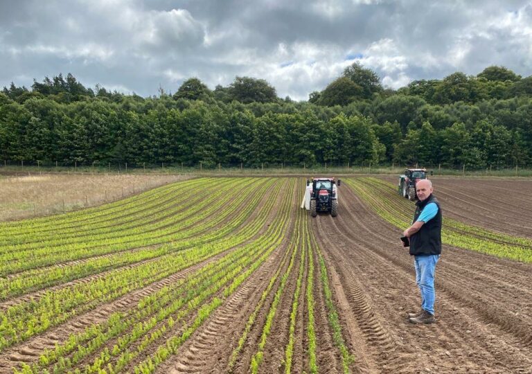 Moray planning ahead: Newton tree nursery project