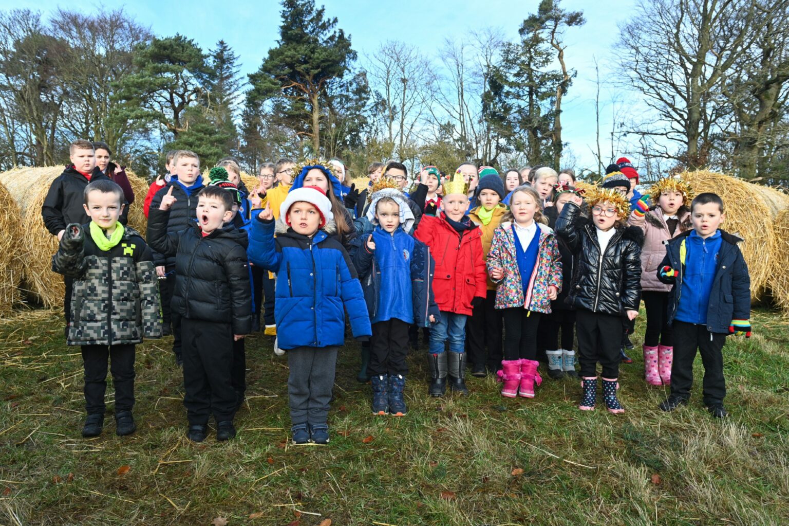 Real life Little Donkey is star attraction at Macduff Primary's ...