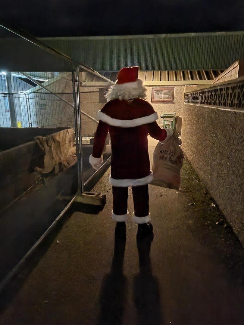 The story behind Santa's visit to Mrs Murray's Cat and Dog Home