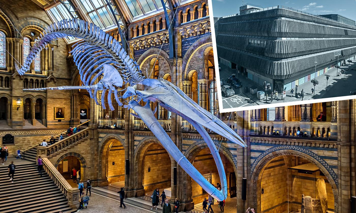 Hopes for Natural History Museum in Aberdeen dashed
