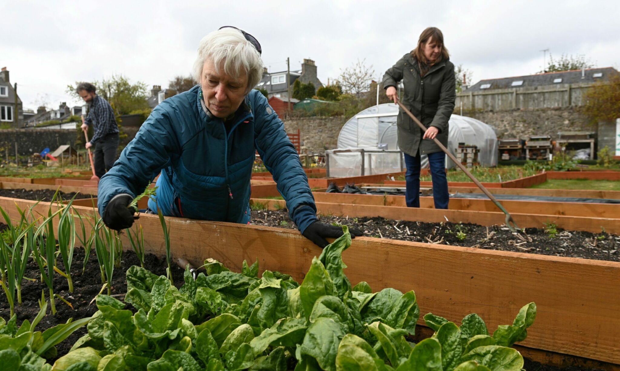 Find your nearest community garden