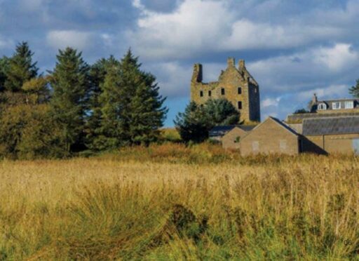 Home beside Knockhall Castle among latest north-east plans