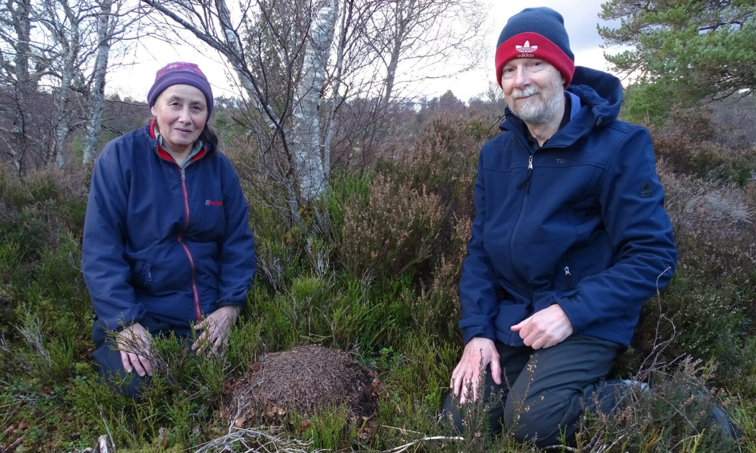 The Anthill Mob come to rescue of hairy climate-hero ants in the Highlands
