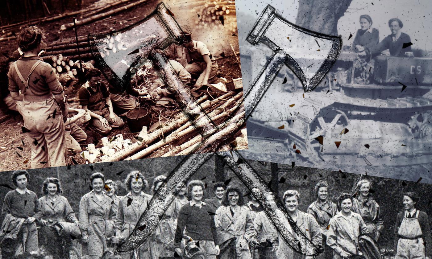 Lumberjills: Women's Timber Corps felled male scepticism 80 years ago