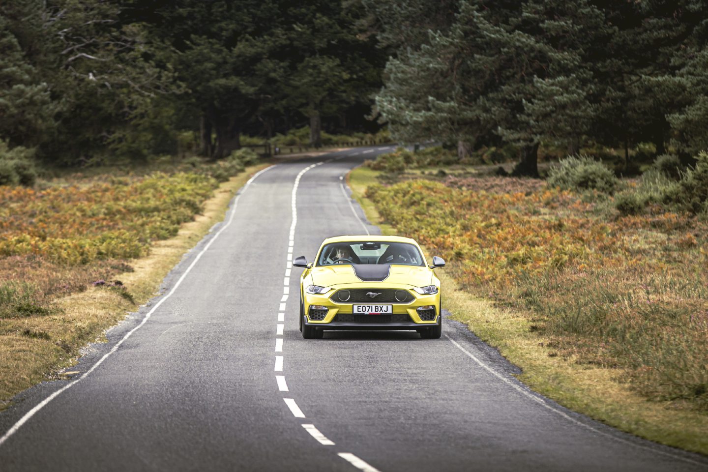 Mighty Mustang Mach 1 muscle car one mean machine - Press and Journal