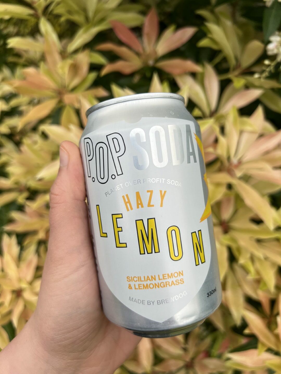 Review: What did I make of Brewdog's P.O.P Soda drinks?