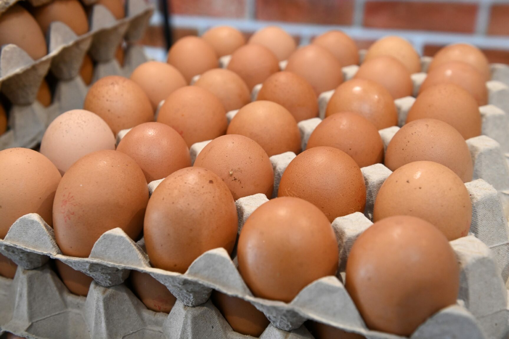 Lurch Monster’s Tilly Butcher: A butcher like no other - Press and Journal