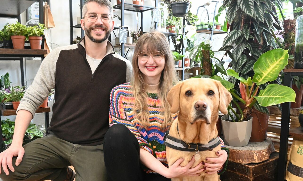 Highland Moss: Aberdeen garden centre offering health checks for greenery