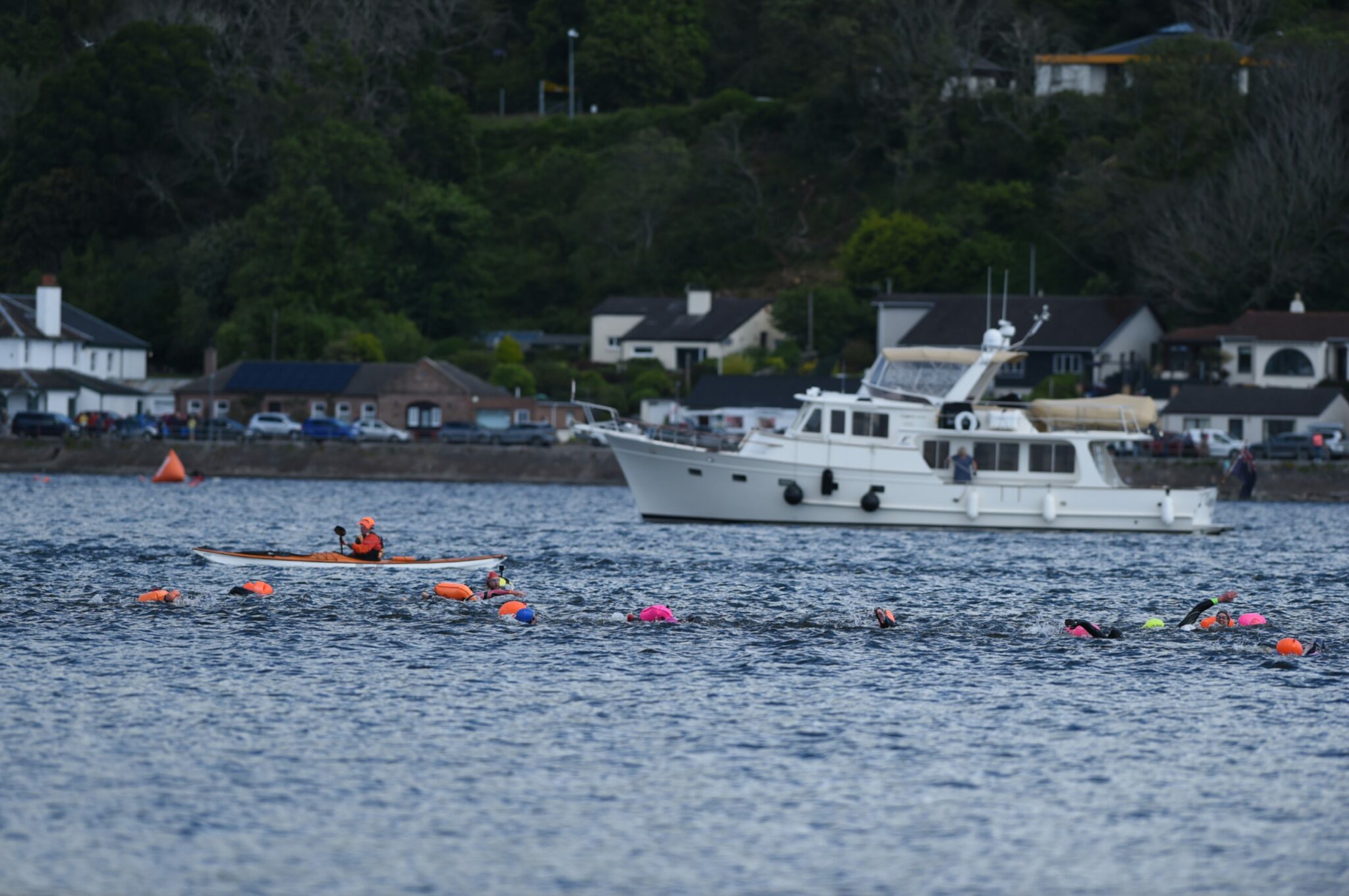 IN PICTURES: Kessock Ferry Swim takes place for first time in 50 years ...