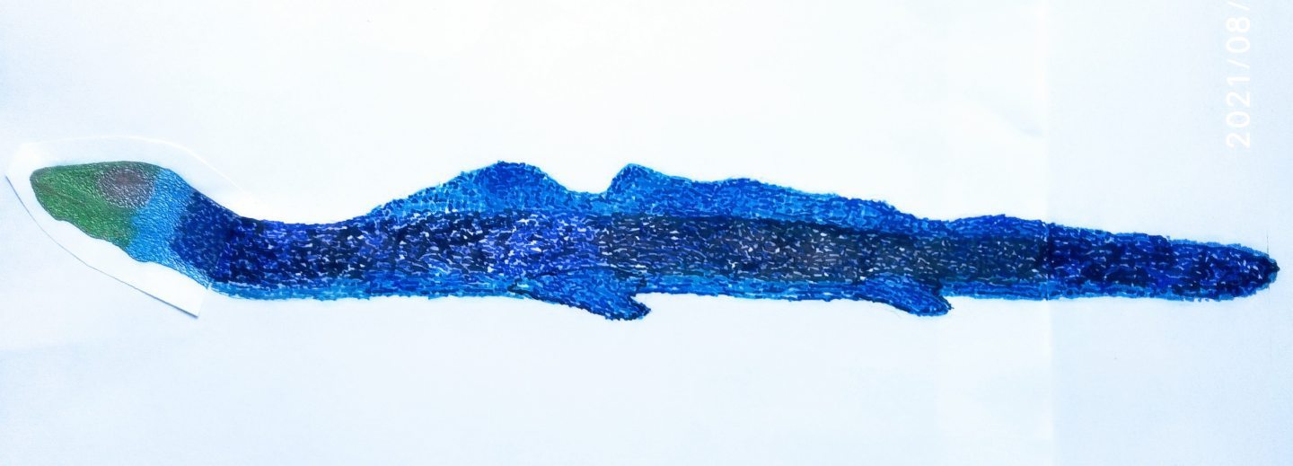 The Loch Ness Monster eel theory: could this sketch be the key?
