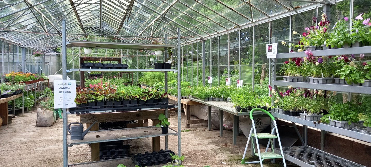 The Seed Box reveals plans for new horticultural site at Banchory