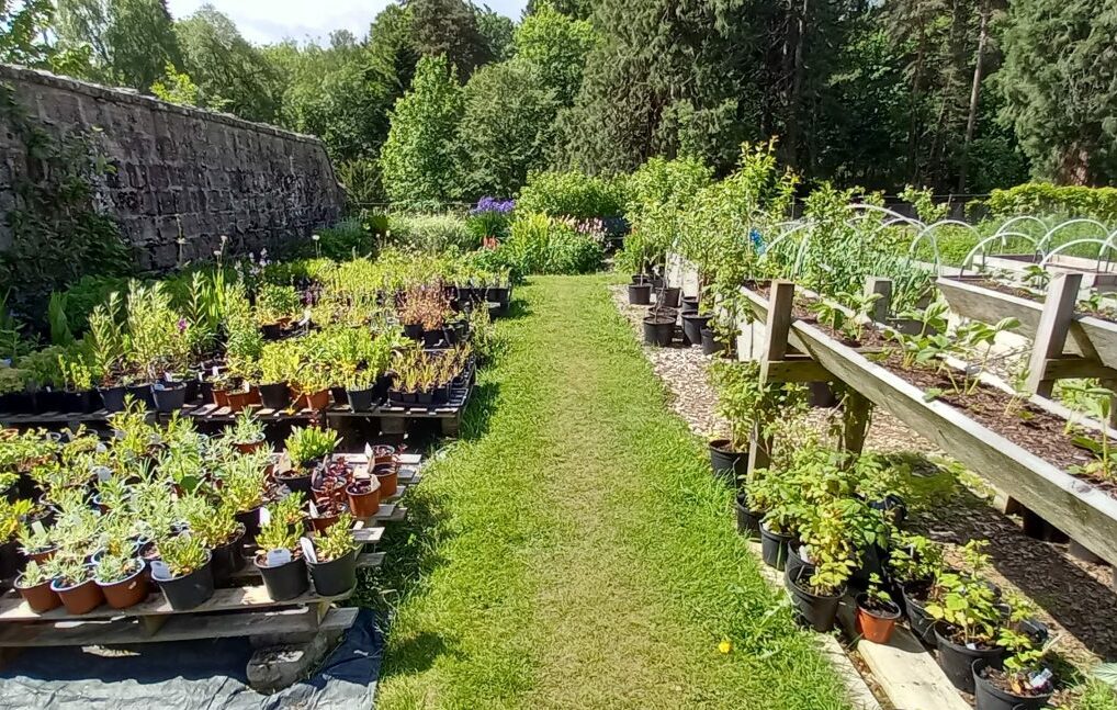 The Seed Box marks milestone as work begins on Banchory centre