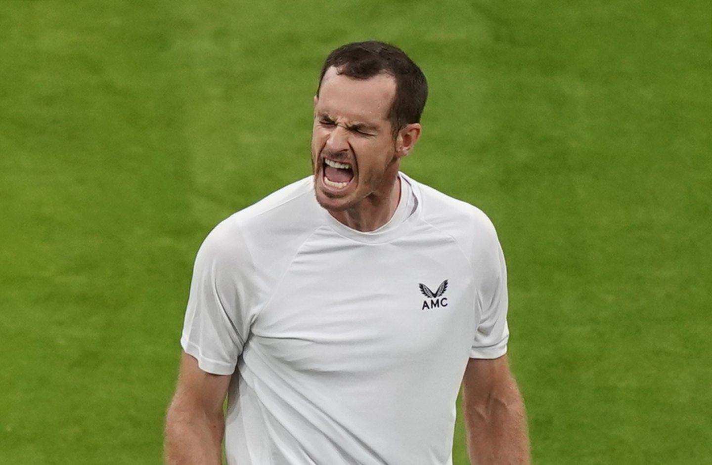 Paul Third: Sir Andy Murray is still the poster boy for the Wimbledon ...