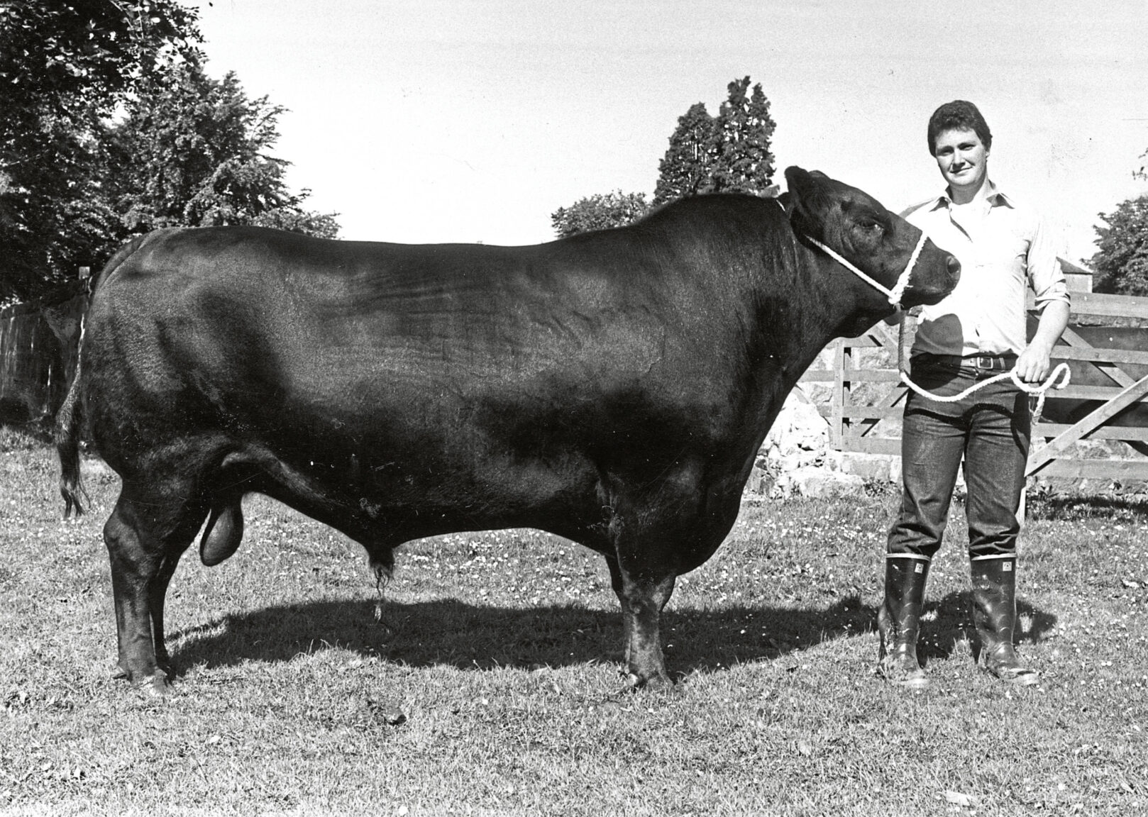 The Echt Show: Celebrating the return of the 168-year-old show - Press ...