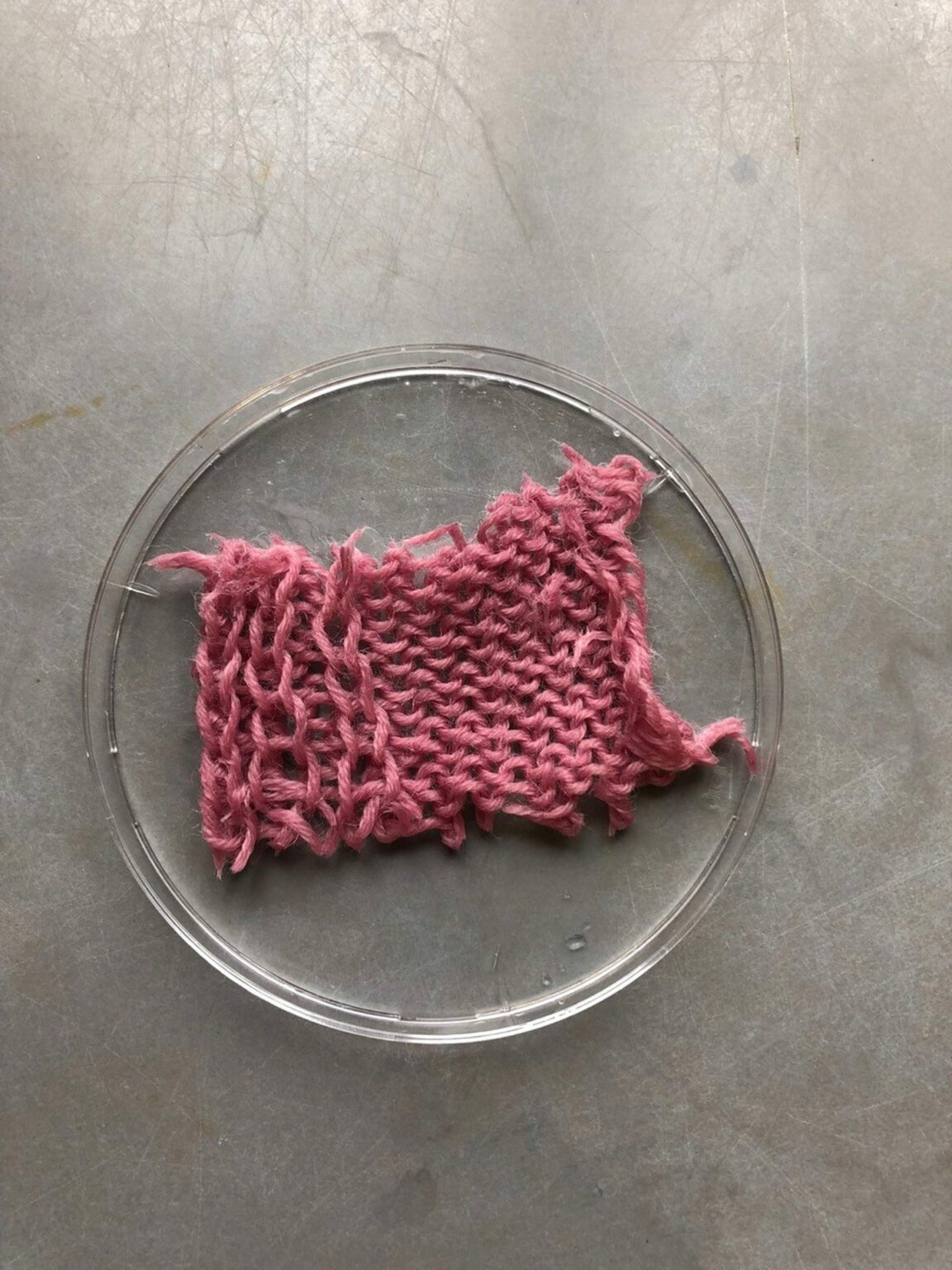 Could Oban dye made with seaweed colour fashion's future green?