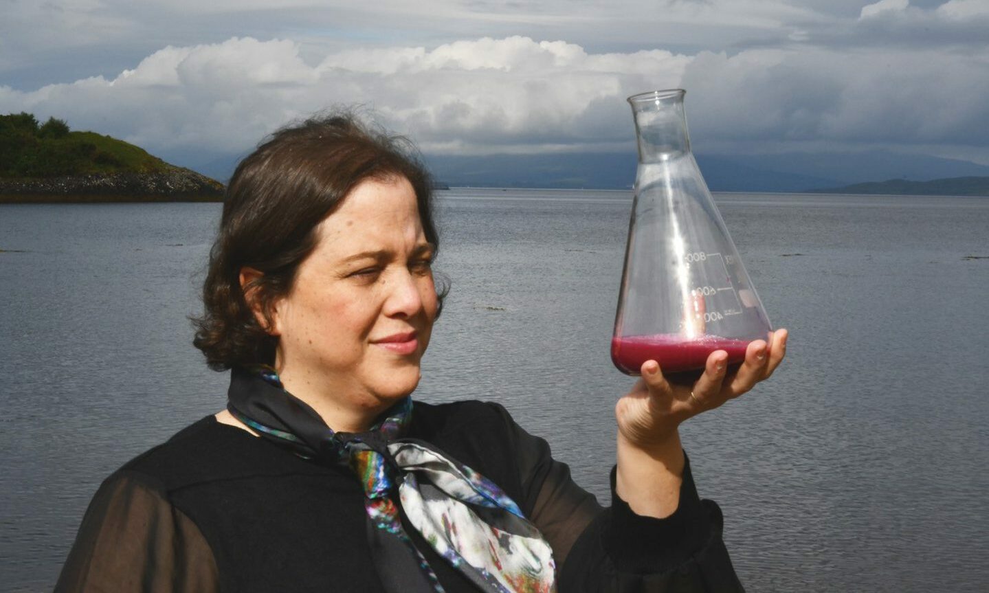 Could Oban dye made with seaweed colour fashion's future green?