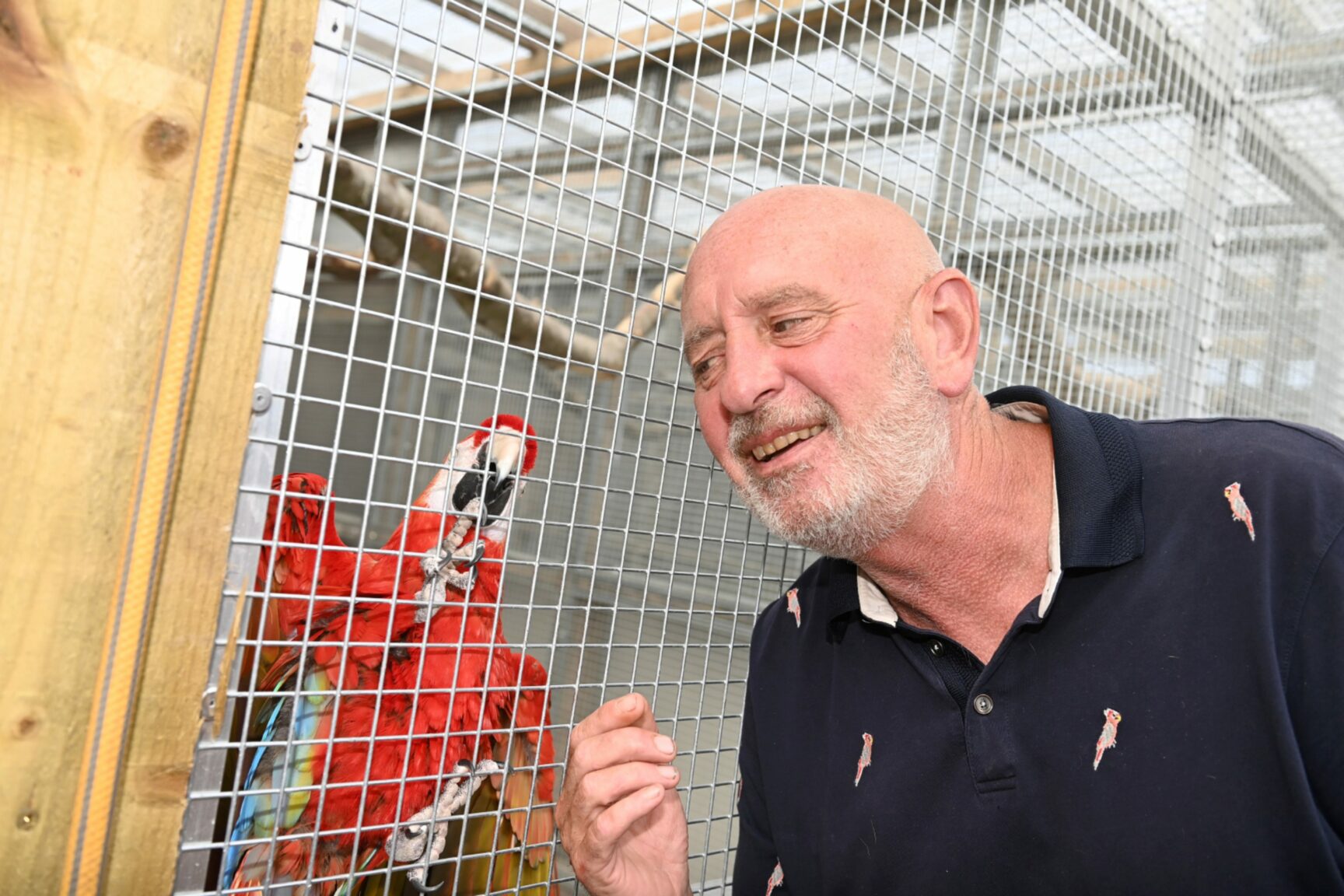 Meet the Aberdeenshire man with 90 parrots